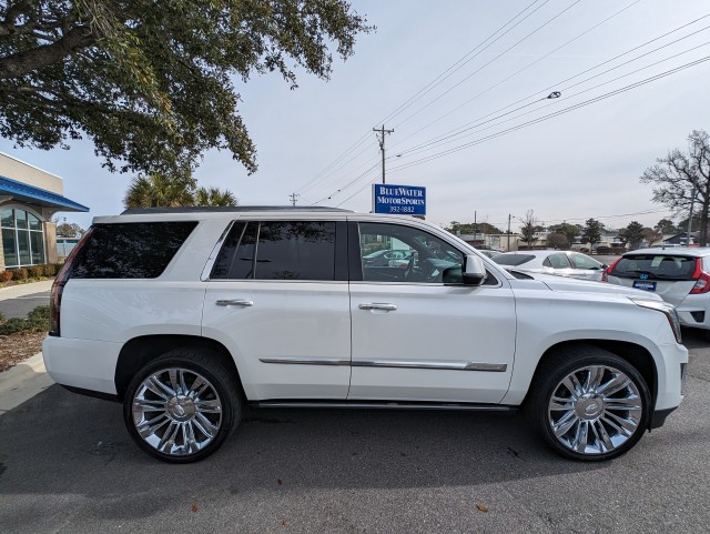 Used Cars for Sale Near Me - CarGurus